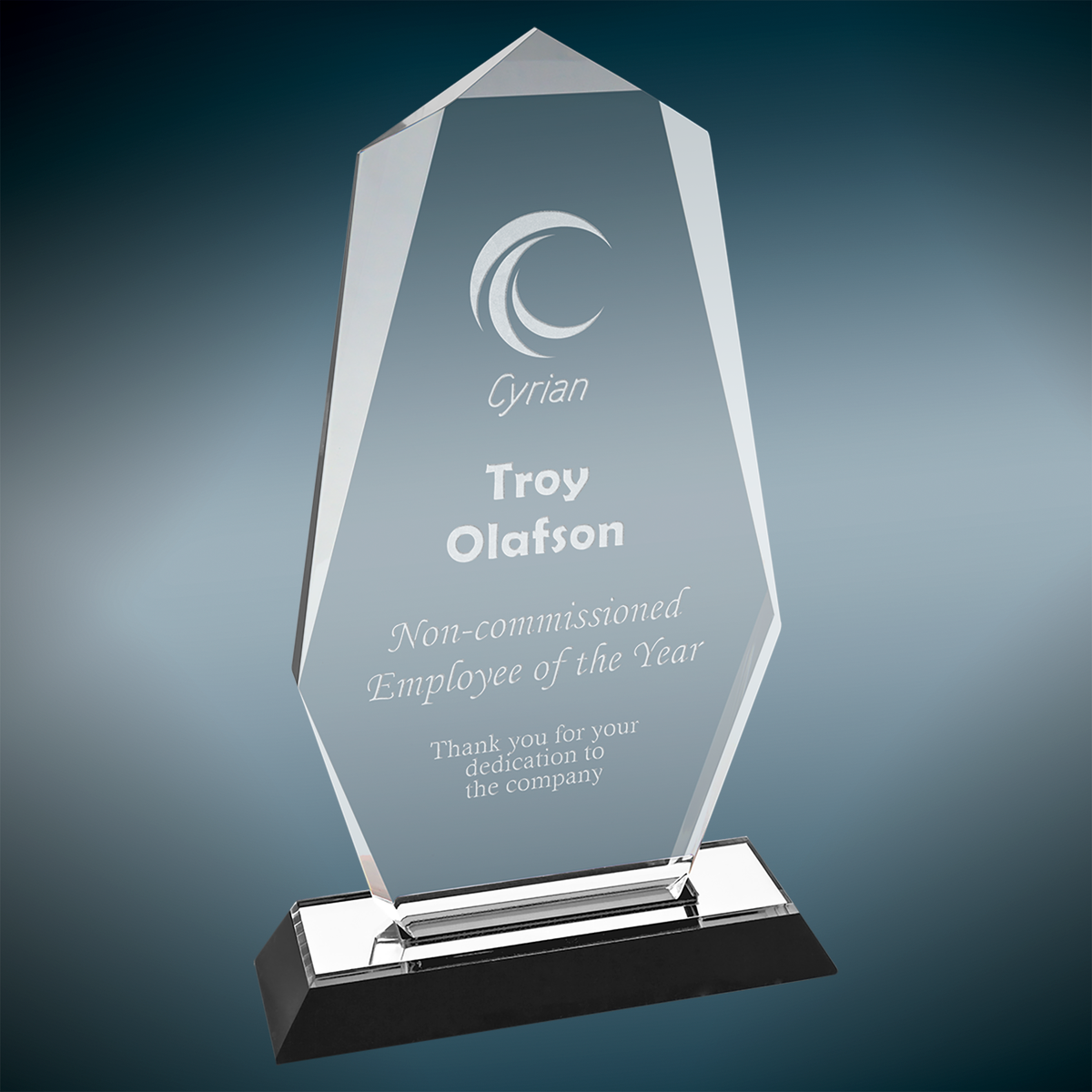 Octagon Point Silver – Washington Awards